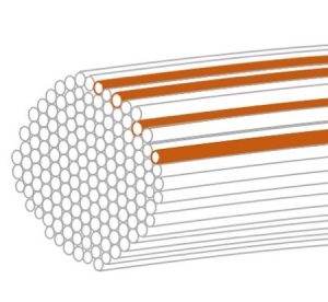 Shroud Markings - Shroud of Turin Information